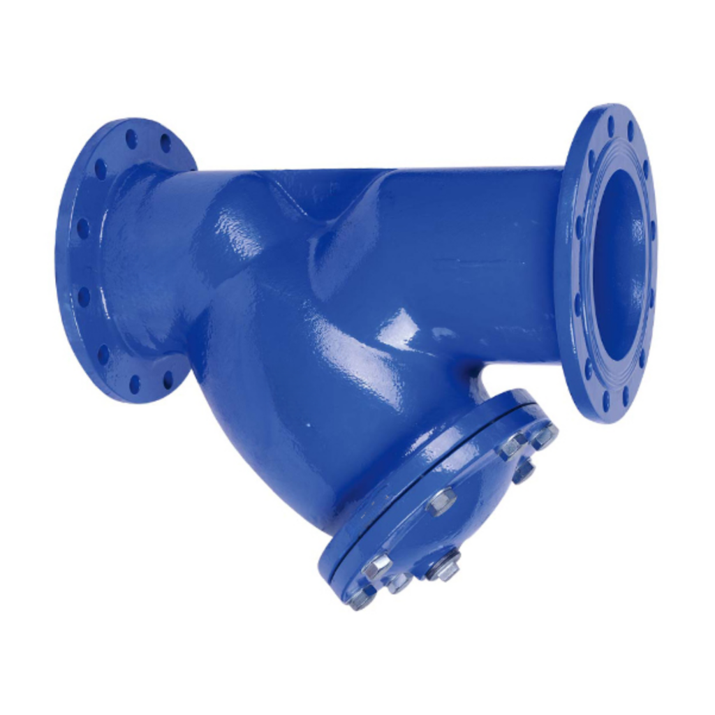 Durati Flanged Y-Type Strainer
